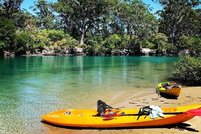 Sunset Kayak Eco Tour with Marine Scientist - Tour Details: Practicalities and Value