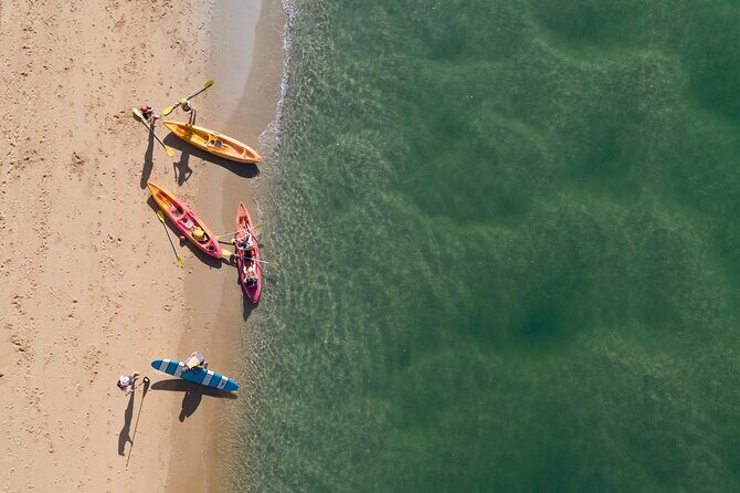 Sunset Kayak Eco Tour with Marine Scientist - Why Travelers Love This Tour