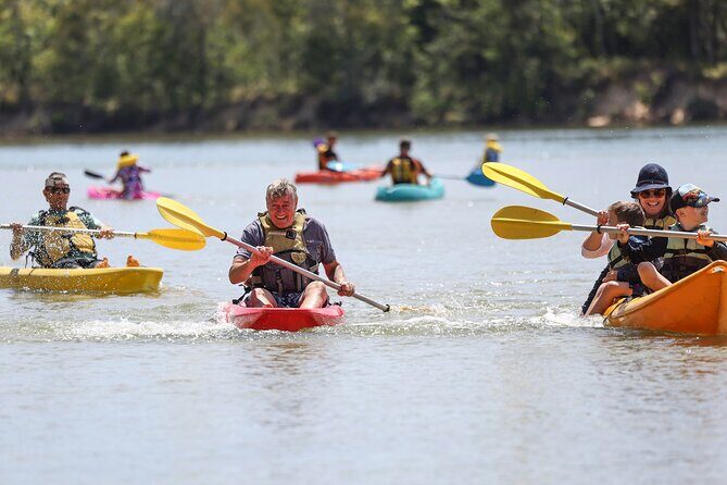 Sunset Kayak Eco Tour with Marine Scientist - How the Tour Connects You with Nature