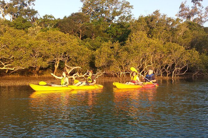 Sunset Kayak Eco Tour with Marine Scientist - Frequently Asked Questions