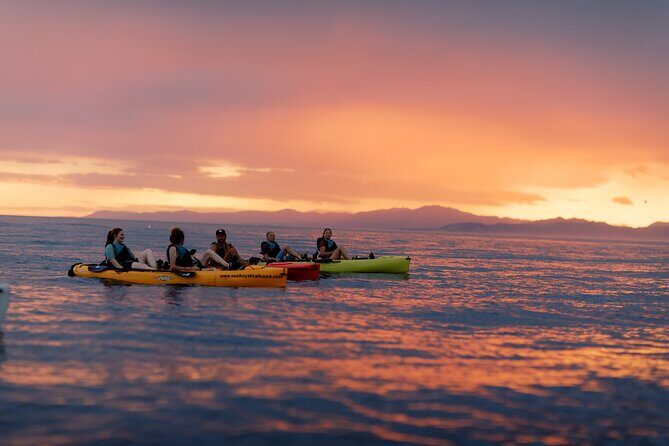 Sunset Kayak tour in Kaikoura - What to Expect During the Tour
