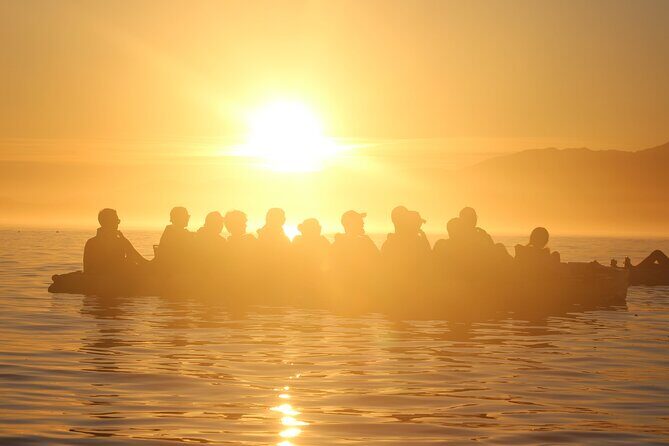 Sunset Kayak tour in Kaikoura - Authentic Reviews from Travelers