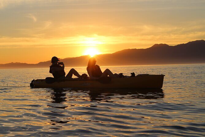 Sunset Kayak tour in Kaikoura - Value and Pricing Analysis