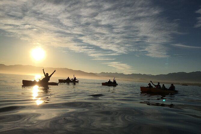 Sunset Kayak tour in Kaikoura - Practical Details and Considerations