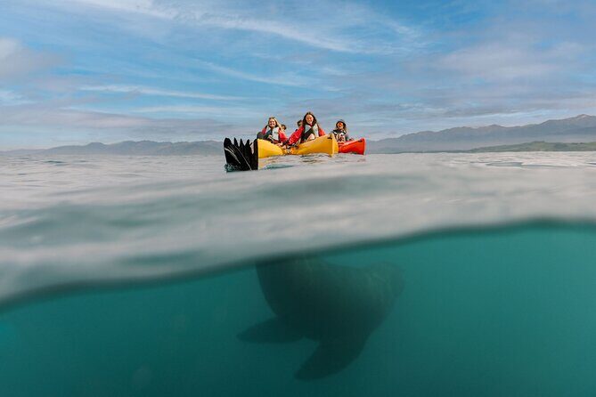 Sunset Kayak tour in Kaikoura - The Sum Up: Is This the Experience for You?