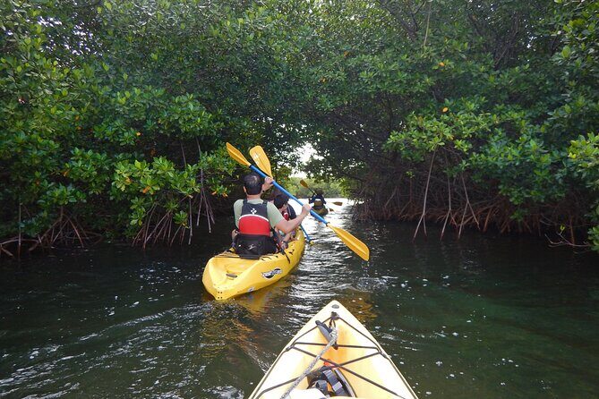 Sunset Kayak Tour in the Mangrove Lagoon, St Thomas - Key Points