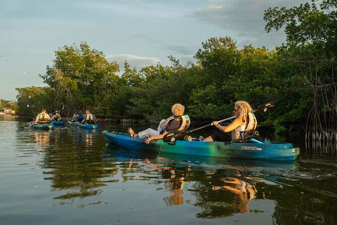 Sunset Kayak Tour in the Mangrove Lagoon, St Thomas - Exploring the Experience