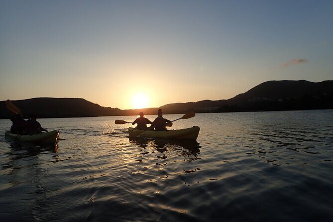 Sunset Kayak Tour in the Mangrove Lagoon, St Thomas - Practical Tips for Your Trip