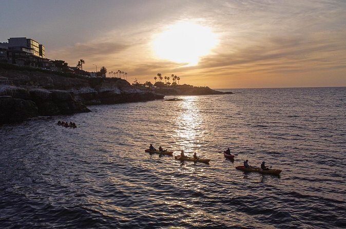 Sunset Kayak Tour of La Jolla Caves - Reviews and Real-Life Perspectives