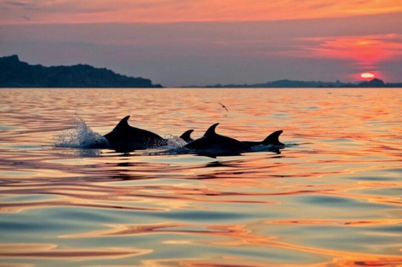 Sunset Kayak Tour + Snorkeling and Local Aperitif - FAQ about the Sunset Kayak Tour