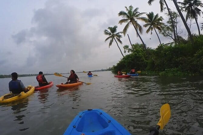 Sunset Kayaking in Hidden Alleppey Backwater Routes - Key Points