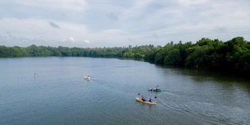 Sunset Kayaking on the Negombo Lagoon - Key Points