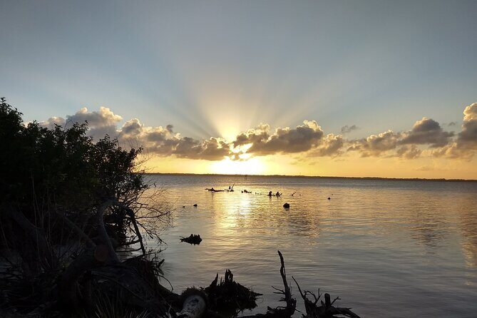 Sunset kayaking tour at Manatee Cove with Manatee & Dolphin sightings - Final Thoughts: Who Will Love This Tour?