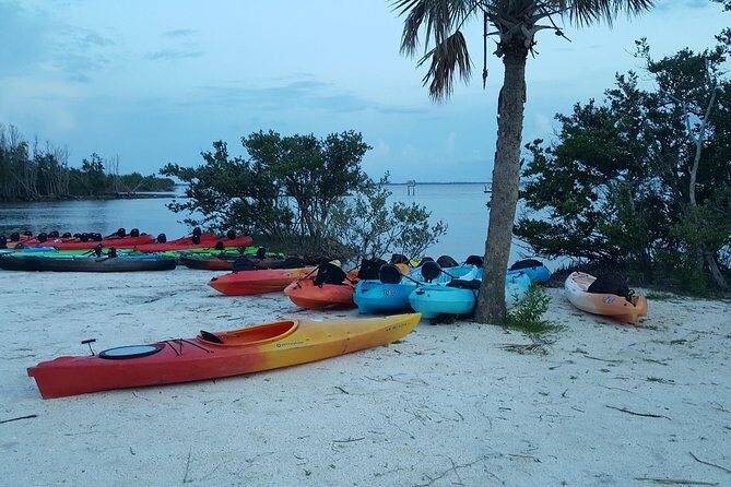 Sunset Kayaking w/ Florida Bioluminescence Combo Tour | Haulover canal - An In-Depth Look at the Experience