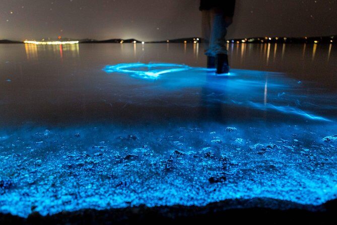Sunset Kayaking w/ Florida Bioluminescence Combo Tour | Haulover canal - Real Traveler Insights