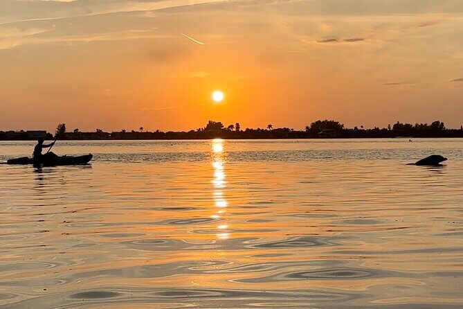 Sunset Kayaking with Dolphins - Introducing Sarasota’s Sunset Kayaking with Dolphins: A Close Encounter with Nature