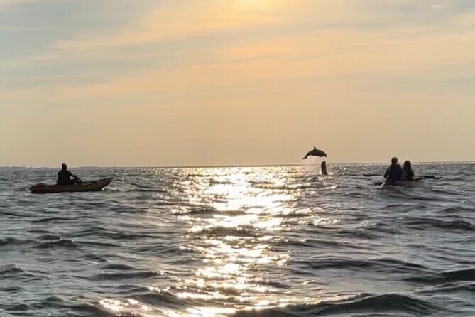 Sunset Kayaking with Dolphins - Who Will Love This Tour?