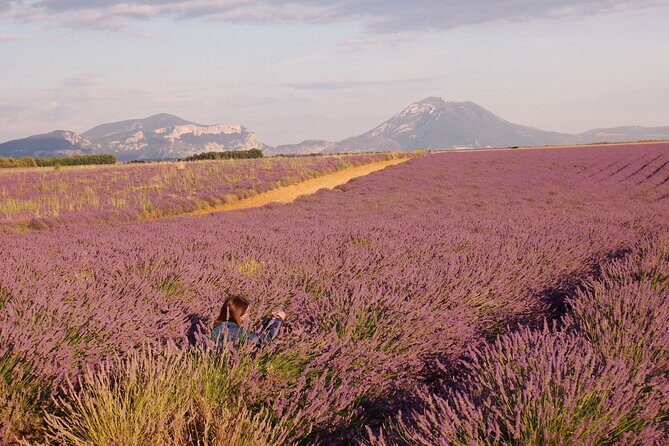 Sunset Lavender Tour in Valensole with pickup from Marseille - Price and Value