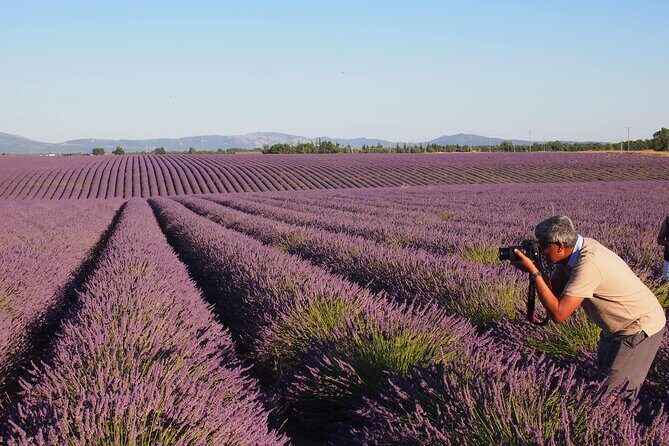 Sunset Lavender Tour in Valensole with pickup from Marseille - Authentic Experiences and Feedback