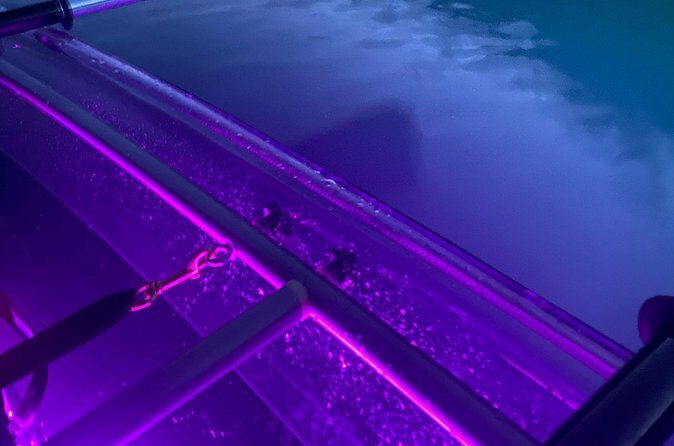 Sunset LED Clear Kayak Rentals for Glacier Park - Who Should Consider This Tour?