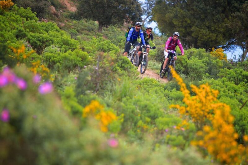 Sunset Mountain electric bike Gulf of Saint-Tropez - A More Authentic Look at Saint-Tropez