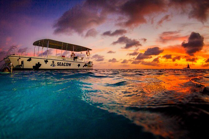 Sunset- night snorkel trip - A Thoughtful Dive into Bonaire’s Sunset Night Snorkel Trip