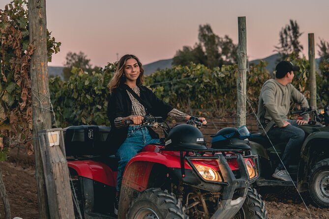 SUNSET Off Road Experience around Valle de Guadalupe! - What the Reviews Tell Us
