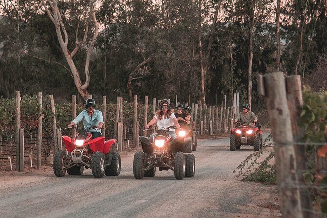 SUNSET Off Road Experience around Valle de Guadalupe! - The Sum Up