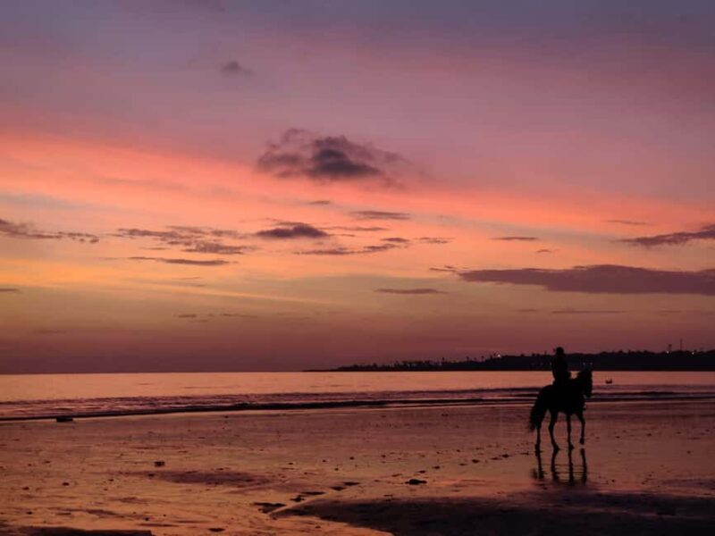 Sunset on Horseback at El Limón Beach - Final Thoughts: The Real Value of This Experience