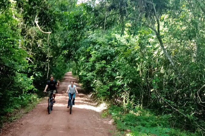 Sunset or sunrise bicycle tour around Angkor Wat and nearby temples - The Experience in Detail: What You’ll See and Do
