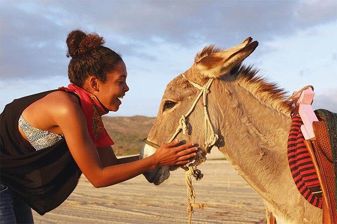 Sunset Pacific Donkey Hiking Tour - A Deep Dive into the Baja California Donkey Hiking Experience