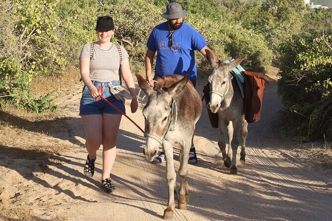 Sunset Pacific Donkey Hiking Tour - FAQ