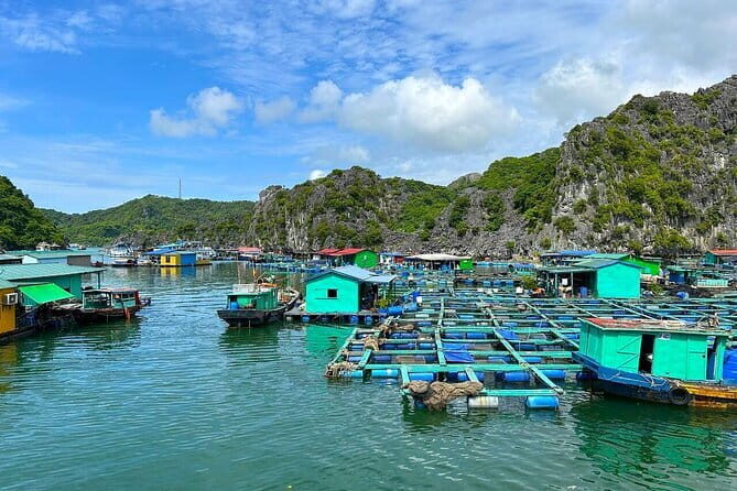 Sunset Paddles, bioluminescent plankton Kayak Tour from Cat Ba - An In-Depth Look at the Tour Experience
