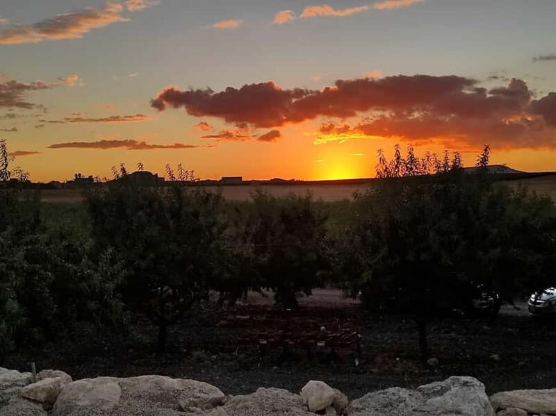 Sunset Painting Among the Vineyards of Mazara Del Vallo - Key Points