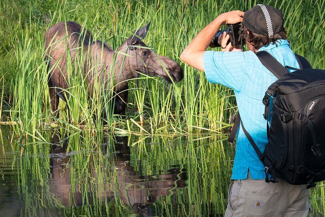 Sunset Photo Safari - What Sets This Tour Apart