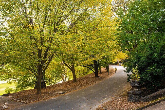 Sunset Photography Tour of Piedmont Park Atlanta - Group Size and Atmosphere