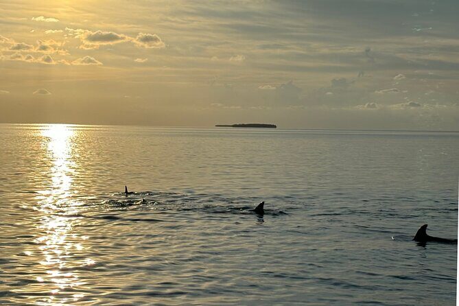 Sunset Powerboat Cruise - Who Is This Tour Best For?
