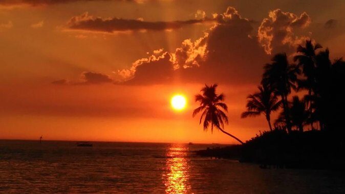Sunset Private Boat Trip in Naples FL with Secluded Island Stop with your Dog - Who Should Consider This Tour?