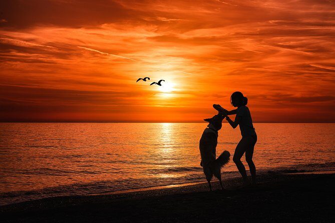 Sunset Private Boat Trip in Naples FL with Secluded Island Stop with your Dog - The Sum Up