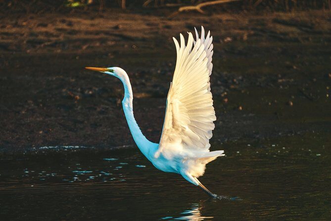 Sunset River Cruise near Byron Bay - Who Should Book This Tour?