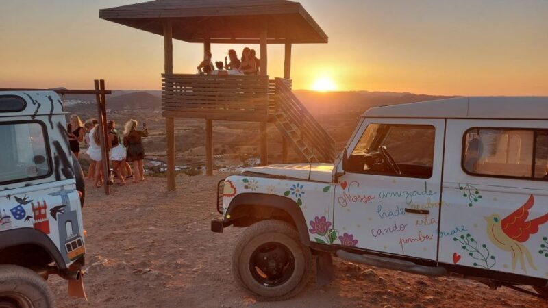 Sunset Safari - An In-Depth Look at the Sunset Safari Tour