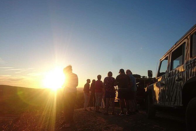 Sunset Safari - Practical Tips for Booking and Enjoying