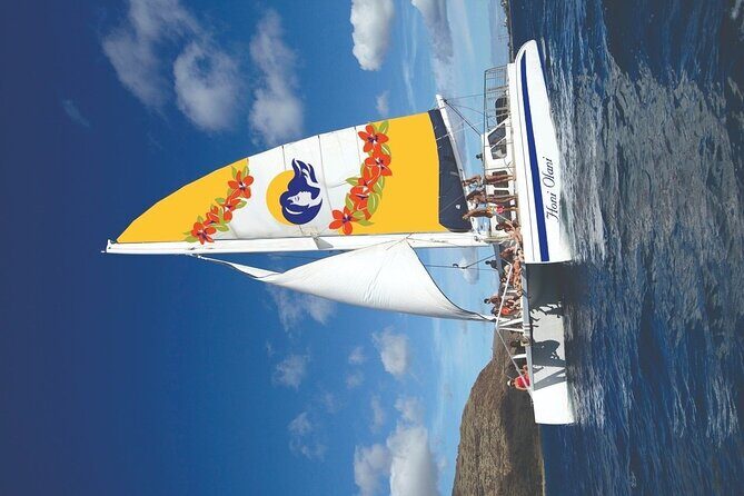 Sunset Sail Experience at Kona from Honokohau - Who Will Love This Tour?