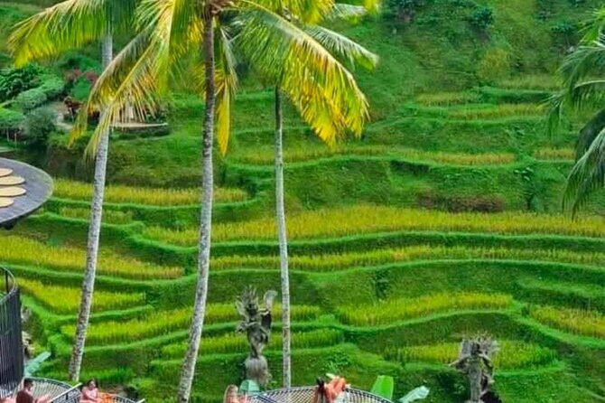 Sunset Sailboat Dinner Cruise & Private Ubud highlights Tour. - FAQ