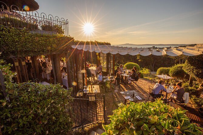 Sunset Scenic Dinner Tour on Beautiful Waiheke Island - An Overview of the Sunset Scenic Dinner Tour