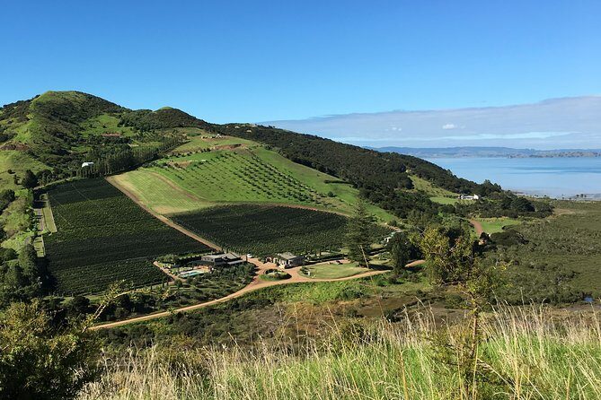 Sunset Scenic Dinner Tour on Beautiful Waiheke Island - Who Should Consider This Experience?