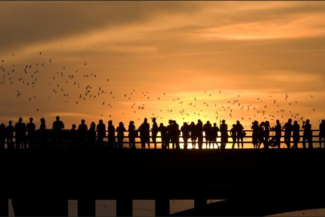 Sunset Skyline Kayak Tour - What Travelers Say: Authentic Experiences from Real Participants