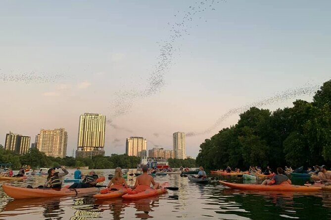 Sunset Skyline Kayak Tour - Who Will Love This Tour?