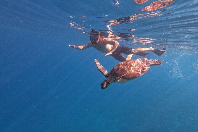 Sunset Snorkeling with Picture & Video in Gili Meno Turtle - Introduction