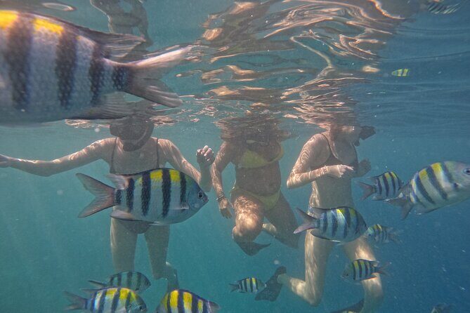 Sunset Snorkeling with Picture & Video in Gili Meno Turtle - Practical Tips for Participants